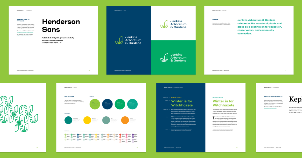 Encouraging New Growth - Untuck Design